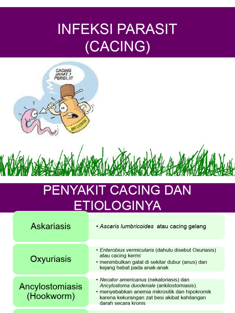 Infeksi Cacing (Parasit) | PDF