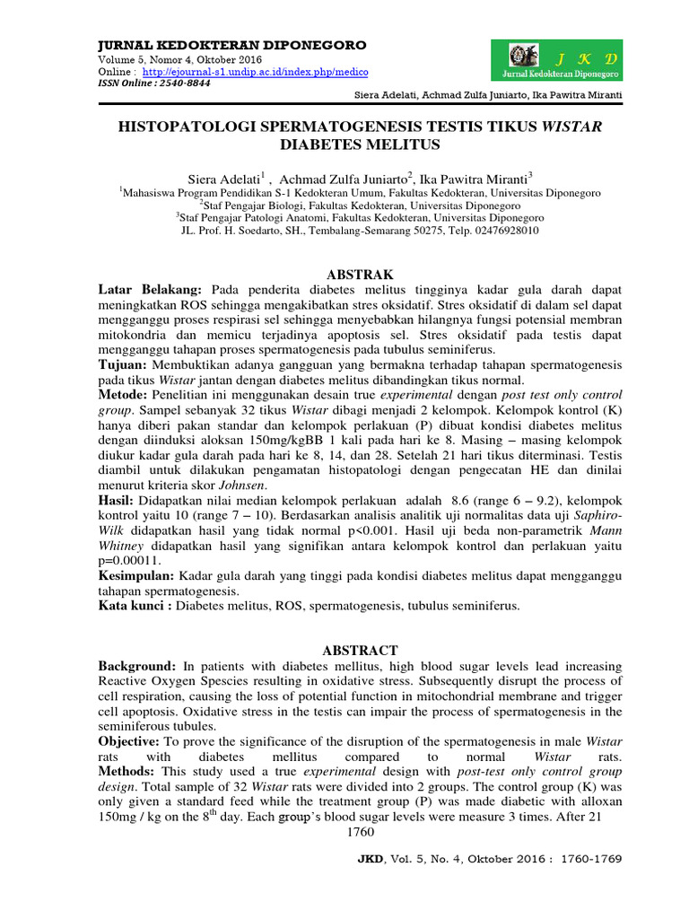 ID Histopatologi Spermatogenesis Testis Tik | PDF | Pengembangan Diri ...