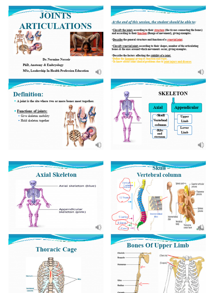 Understanding Joint Classifications and Functions | PDF | Anatomical ...