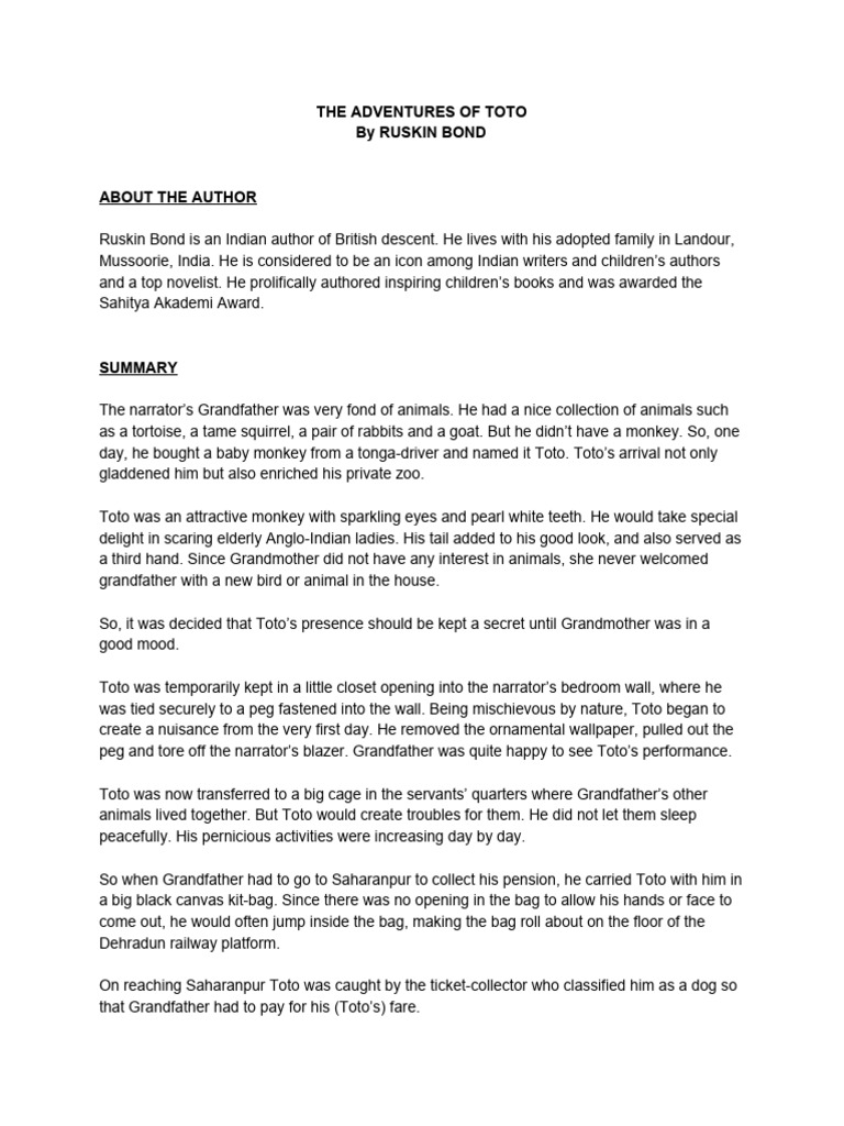 The Adventures of Toto - Summary & Vocabulary | PDF