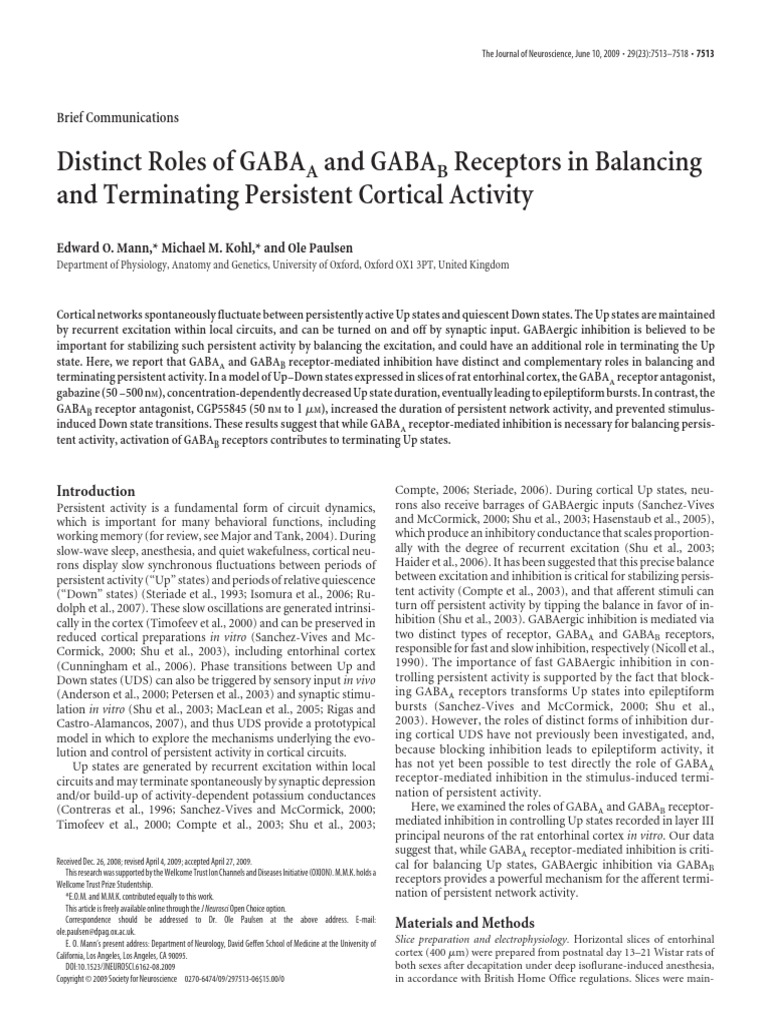 Distinct Roles of GABA (A) and GABA (B) Receptors in Balancing and Terminating Persistent ...