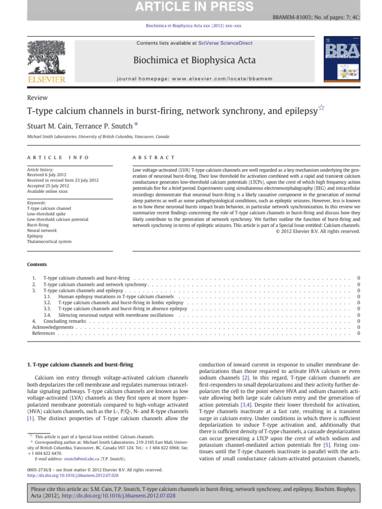 T-Type Calcium Channels in Burst-Firing, Network Synchrony, and ...