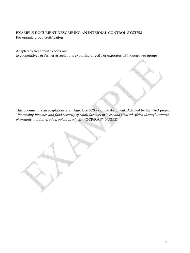 Example Ics Pdf
