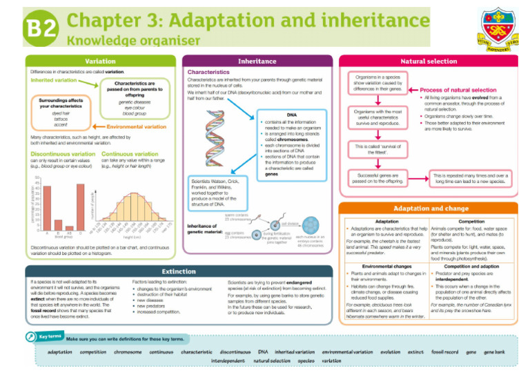 Adaptation-and-inheritance-KO.262523387 | PDF