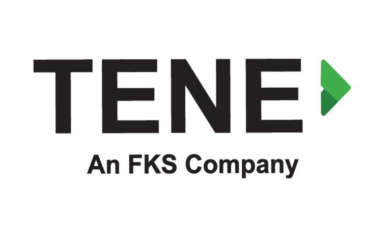 Logo Tene An Company | PDF