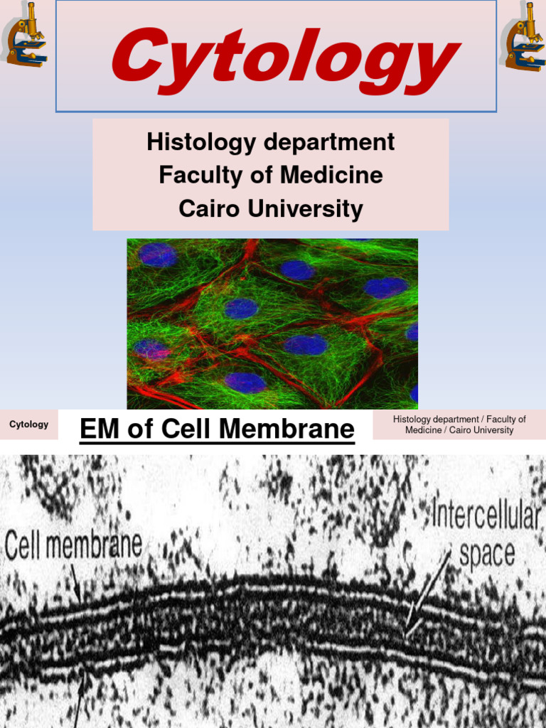 1 - Cytology (2022-2023) | PDF | Endoplasmic Reticulum | Cell Biology