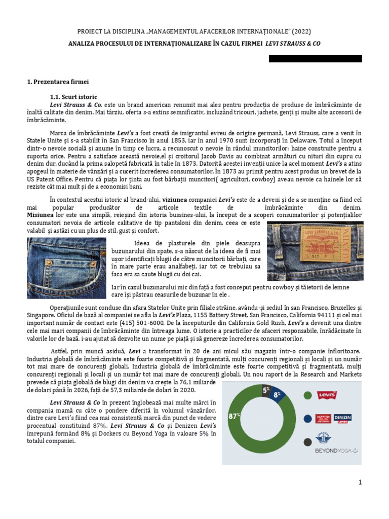 Exemplu de Proiect | PDF