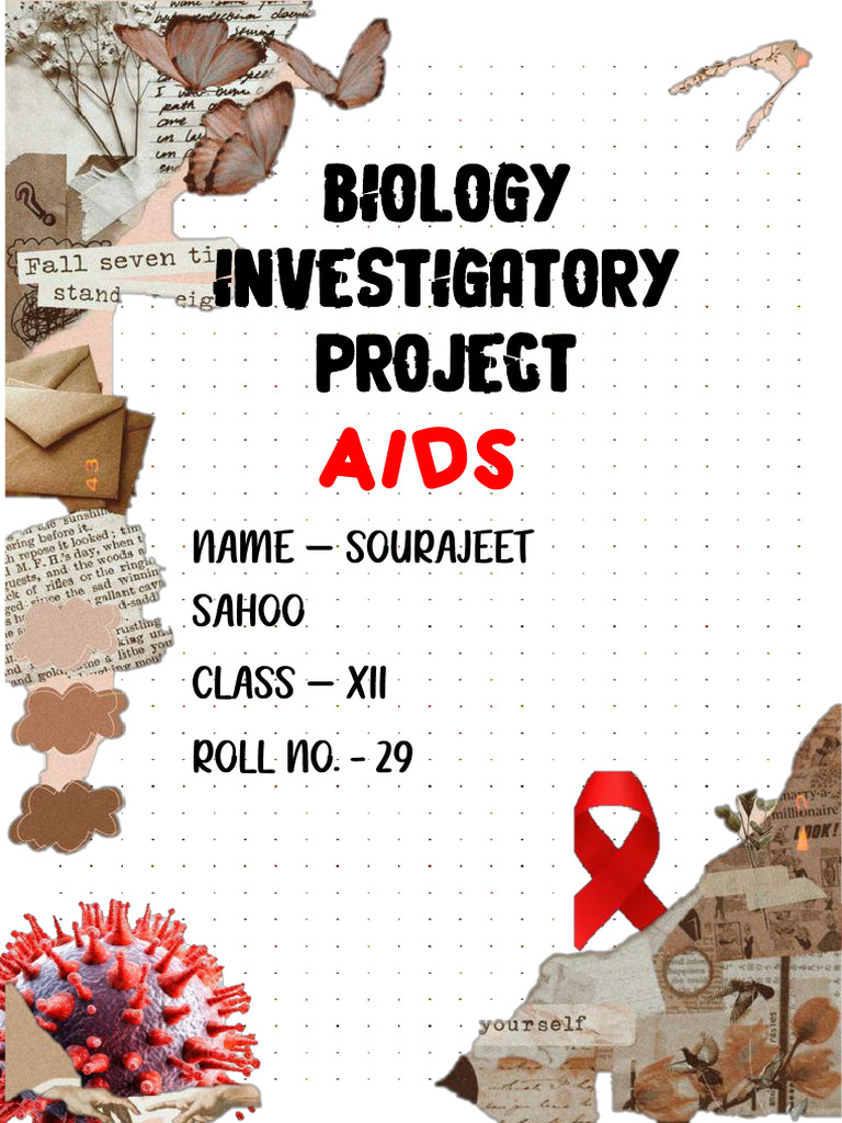 Aids SS | PDF | Hiv/Aids | Sexually Transmitted Diseases And Infections