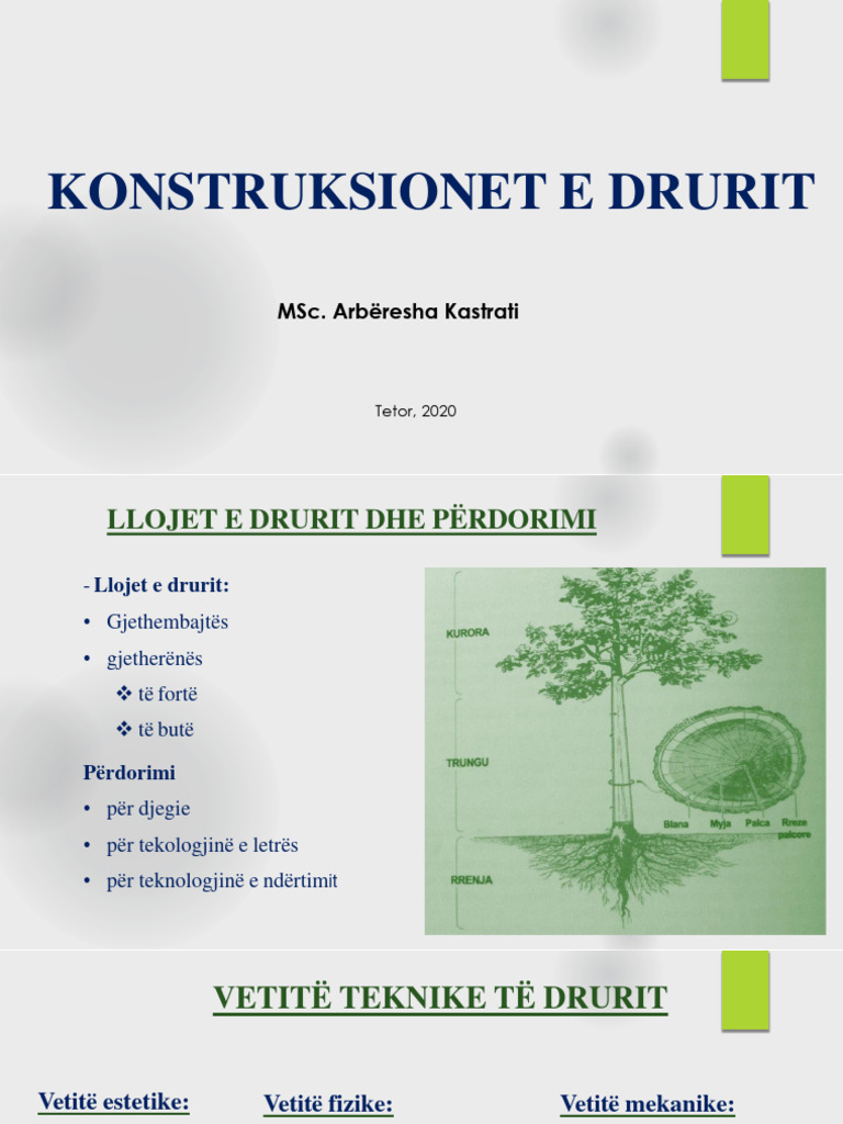 1.druri - Java e I-Rë U | PDF
