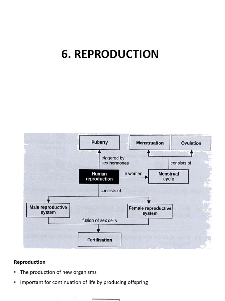 Secondary 2 CH 6 Reproduction | PDF