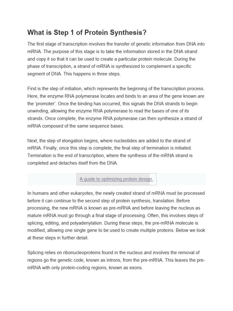 What Is Step 1 of Protein Synthesis | PDF | Messenger Rna | Translation ...