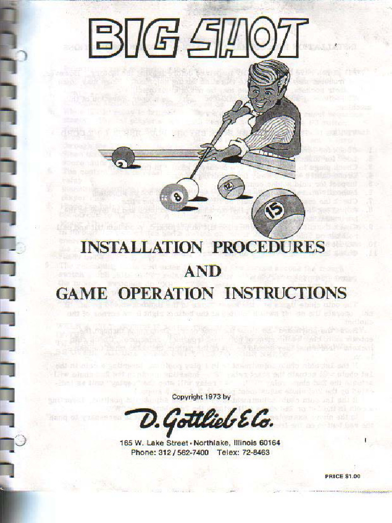 Big Shot (English) | PDF