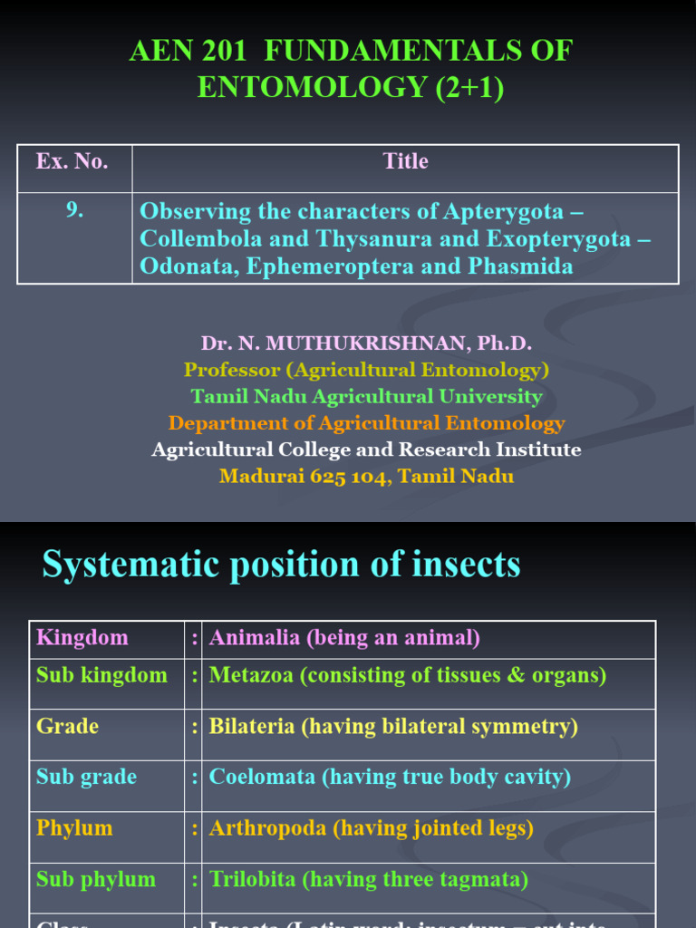 Ex. No. 9. - Observing The Characters of Apterygota - Collembola and Thysanura and Exopterygota ...