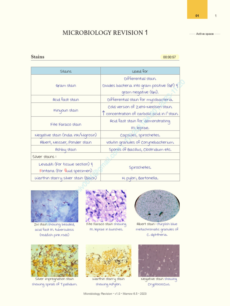 Microbiology Revision E6.5 | PDF | Staining | Bacteria