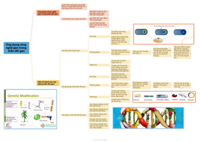 Ứng Dụng Công Nghệ Gen Trong Biến Đổi Gen Final 1 | PDF