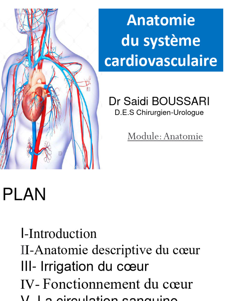 4 - Anatomie Du Systheme Circulatoire | PDF | Bien-être | Sciences et ...