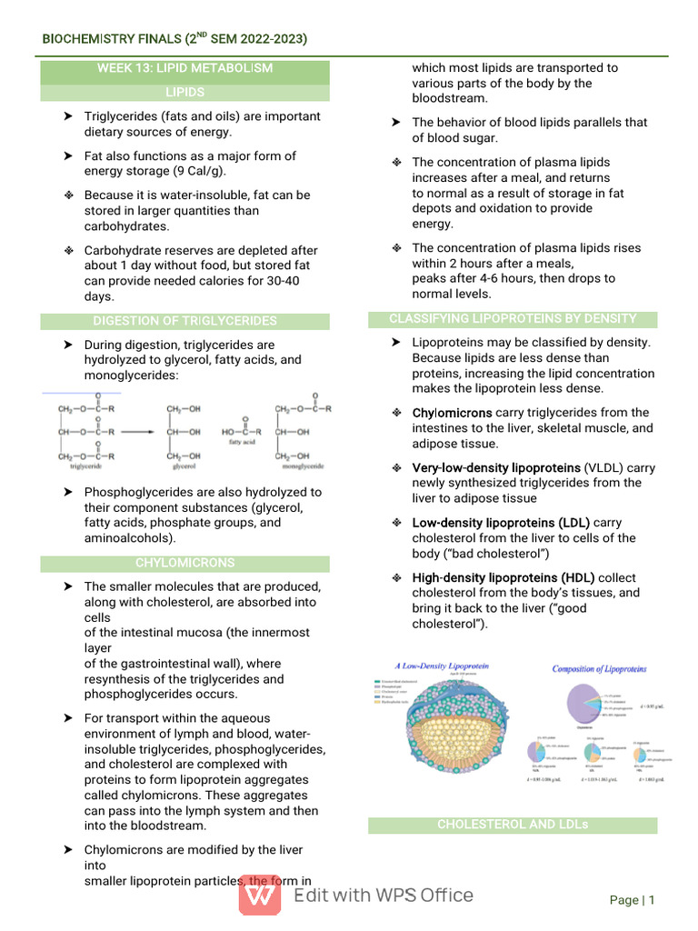 Biochem Finals Reviewer | PDF