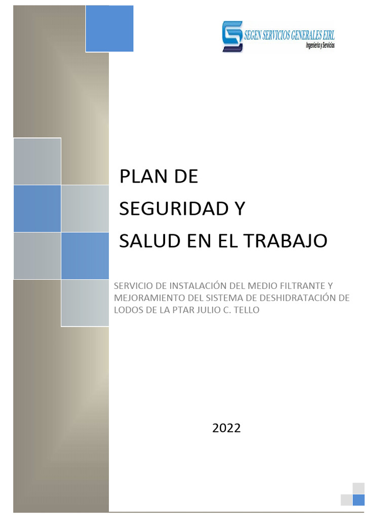 Plan de SST 2022 | PDF | Seguridad y salud ocupacional | Riesgo