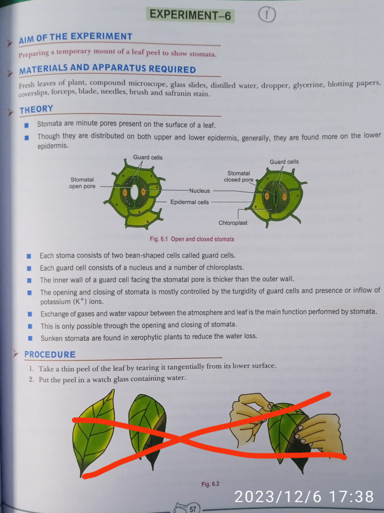 Class X Biology Practical | PDF