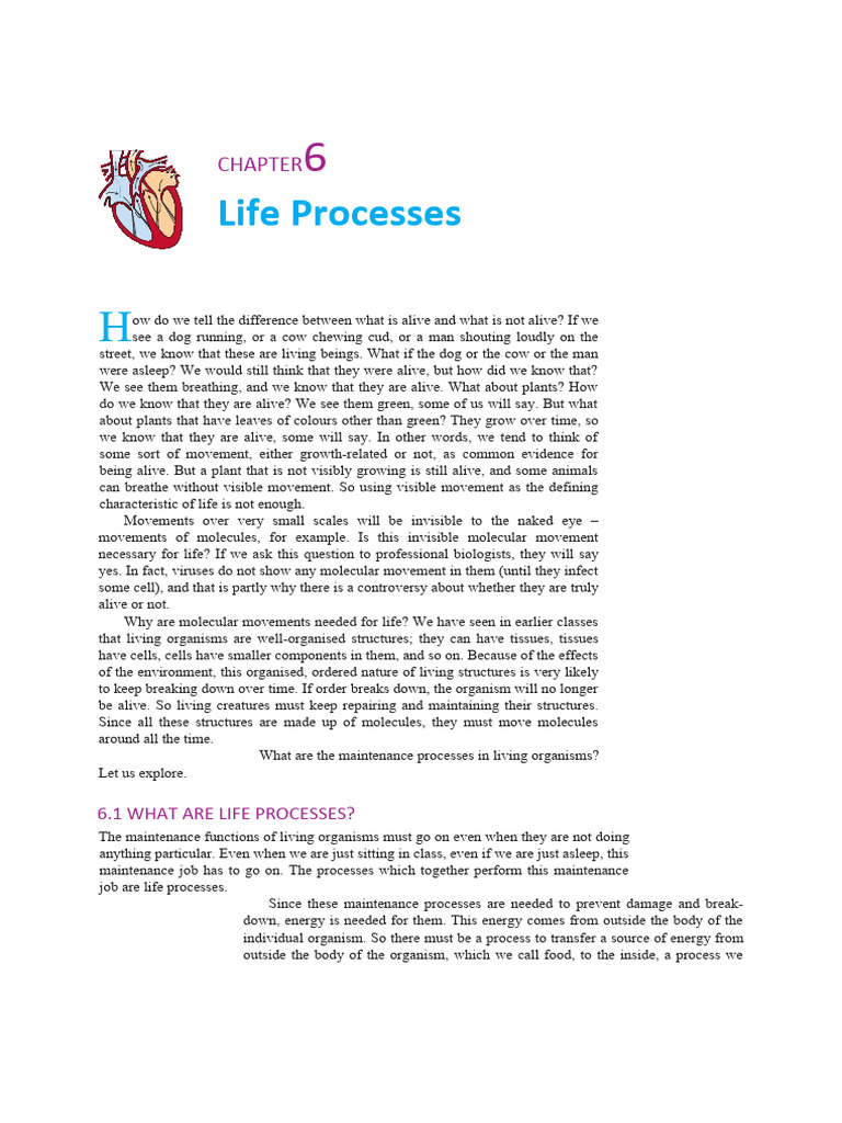 Life Process | PDF | Heart | Cellular Respiration