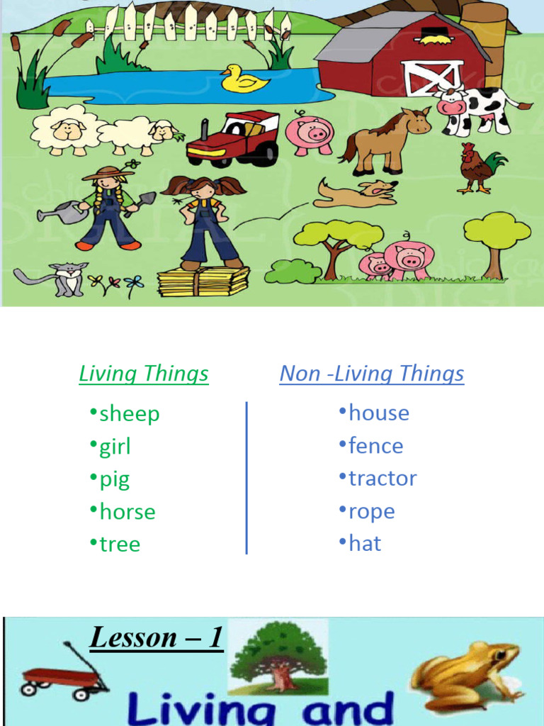 Living vs Non-Living Things Lesson | PDF | Life | Reproduction