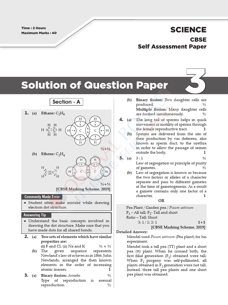Self Assessment 3 | PDF