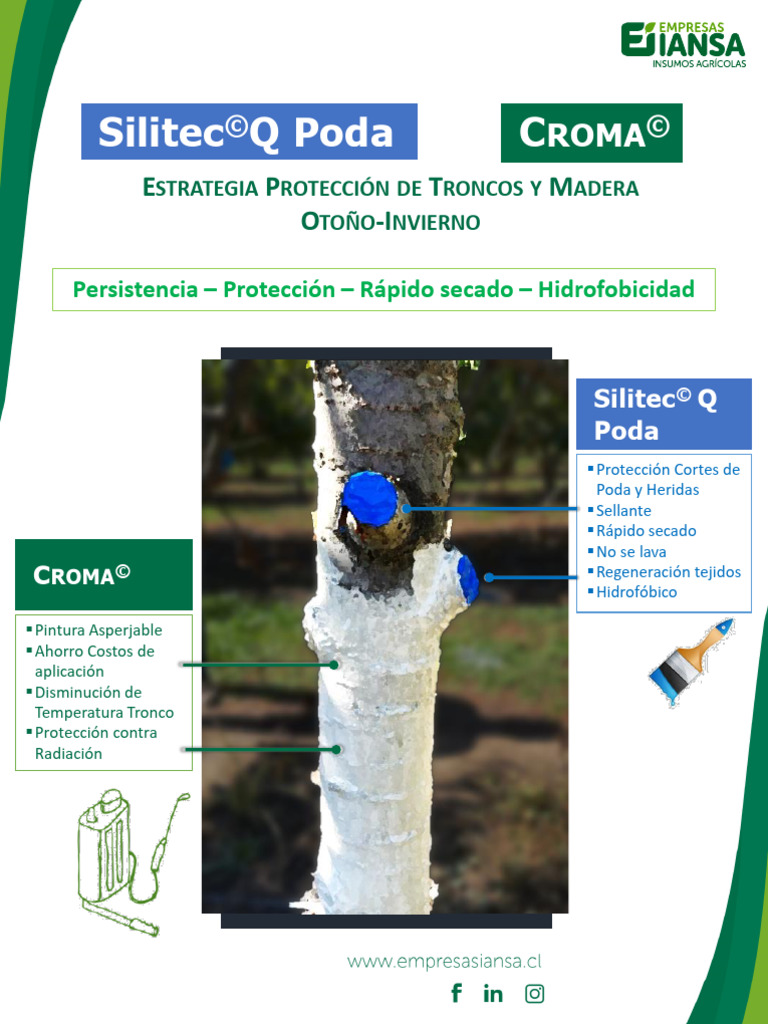 Silitec Q - Croma Mar23 | PDF