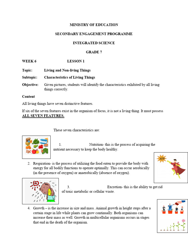 Grade 7 Integrated Science Week 6 Lesson 1 | PDF | Biology | Nature
