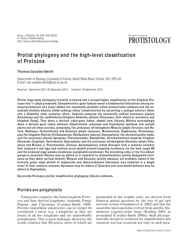Protist Phylogeny and The High-Level Classification of Protozoa ...