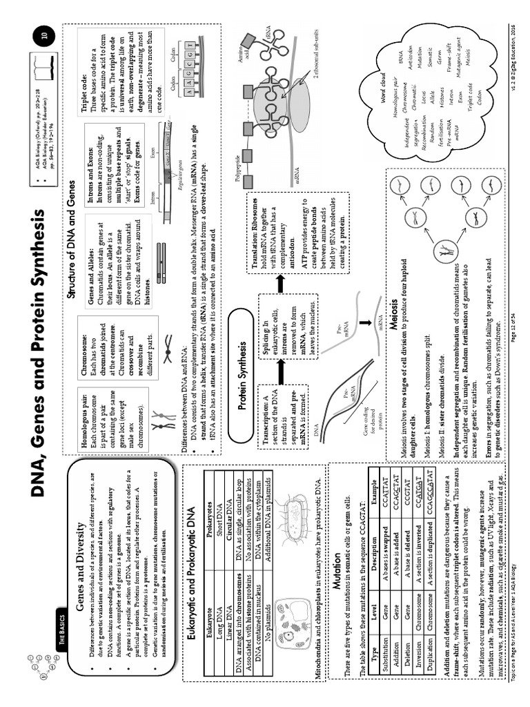 Aqa Biology As Level Unit 8 Knowledge Organiser Pdf 