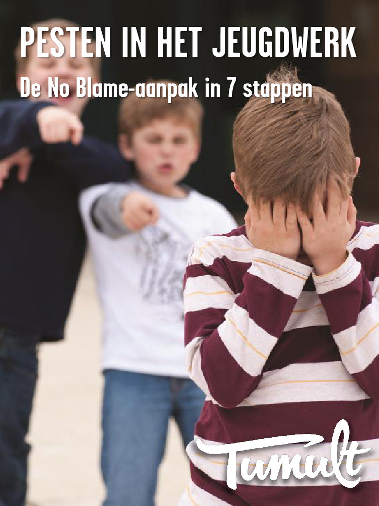 PESTEN Brochure - No - Blame | PDF