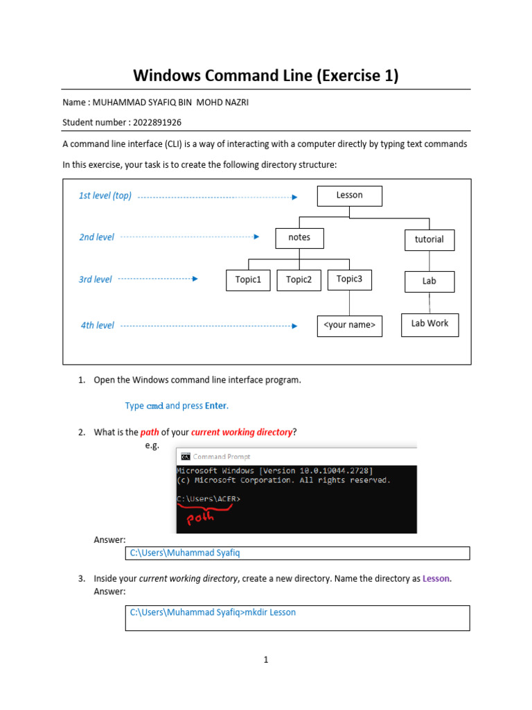 Lab Exercise 1 | PDF | Command Line Interface | Information Science
