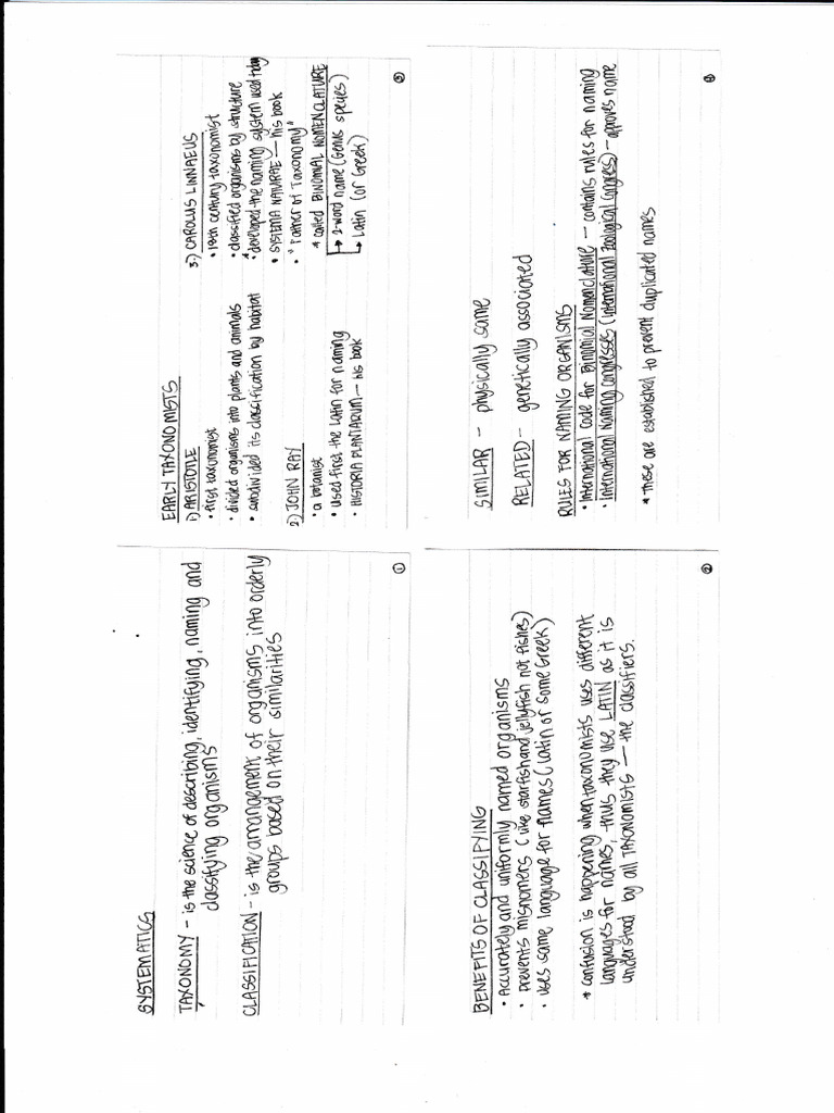 Systematics Flashcard Basics | PDF