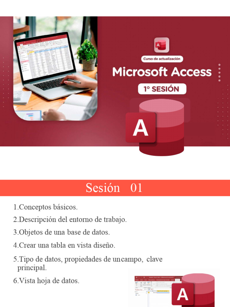 MS ACCESS TEORIA.pptx | PDF