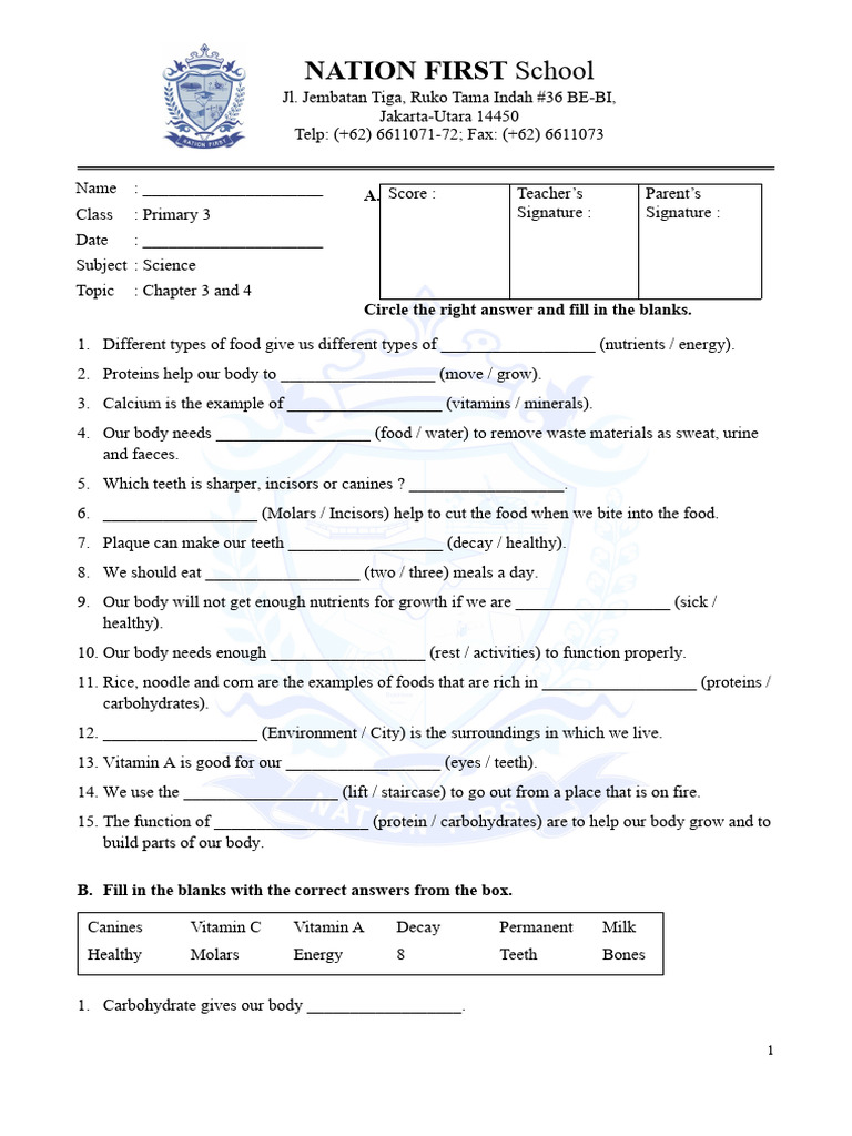 Grade 3 Science Worksheet: Nutrition | PDF | Wellness