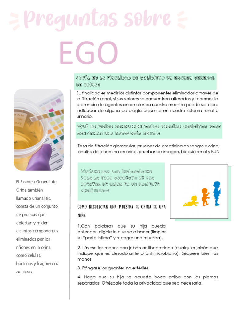 Preguntas - Practica EGO PDF | PDF | Enfermedad renal crónica ...