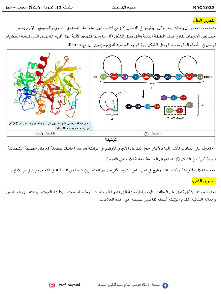 تمارين الأنزيمات | PDF