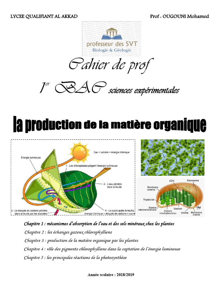 Photosynthèse et Absorption chez les Plantes | PDF | Osmose | Cellule ...