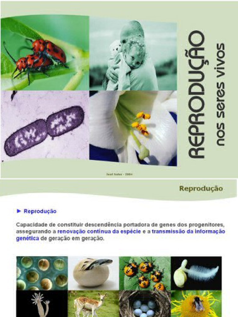 Reprodução Nos Seres Vivos-Meu | PDF