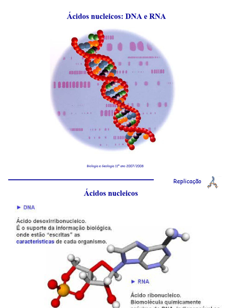 DNA-Química e Estrutura e Síntese de Proteínas | PDF | Expressão ...