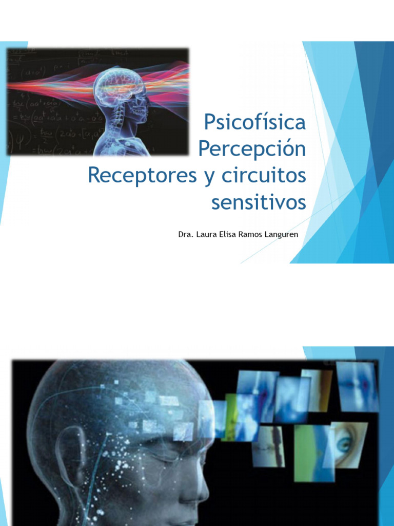 1. Psicofísica Lau | PDF | Percepción | Sistema nervioso
