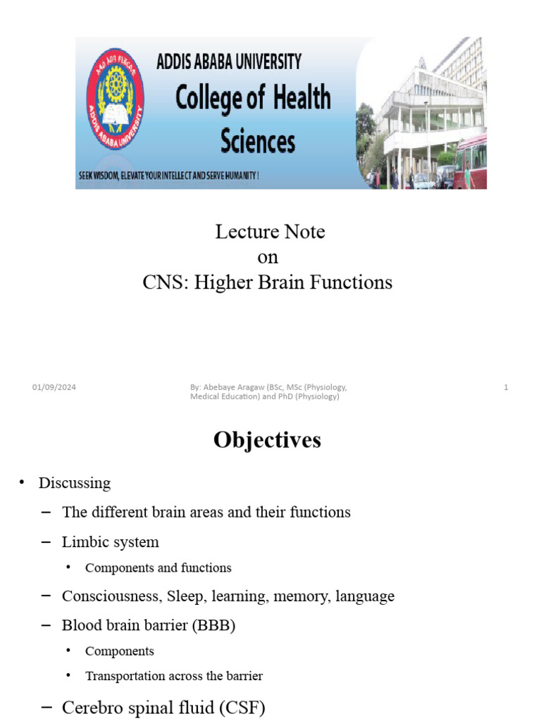 4.2 Higher Brain Function 74 | PDF | Electroencephalography ...