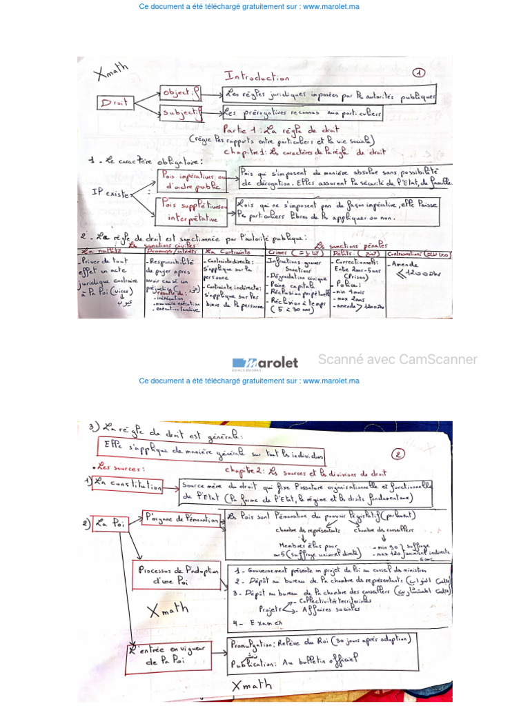Résumé Schématisé Droit | PDF