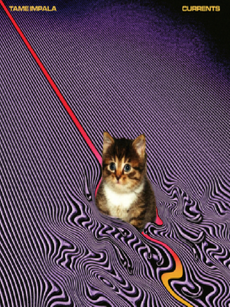 cat in currents | PDF