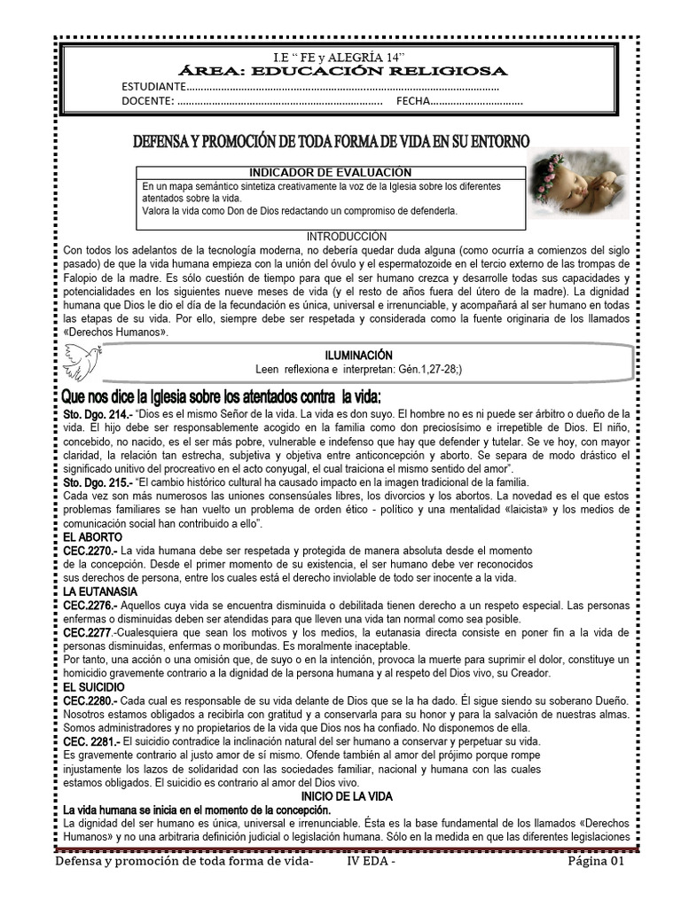 IV EDA Defensa y Promocion de Toda Forma de Vida Ok | PDF | Aborto | Reproducción humana