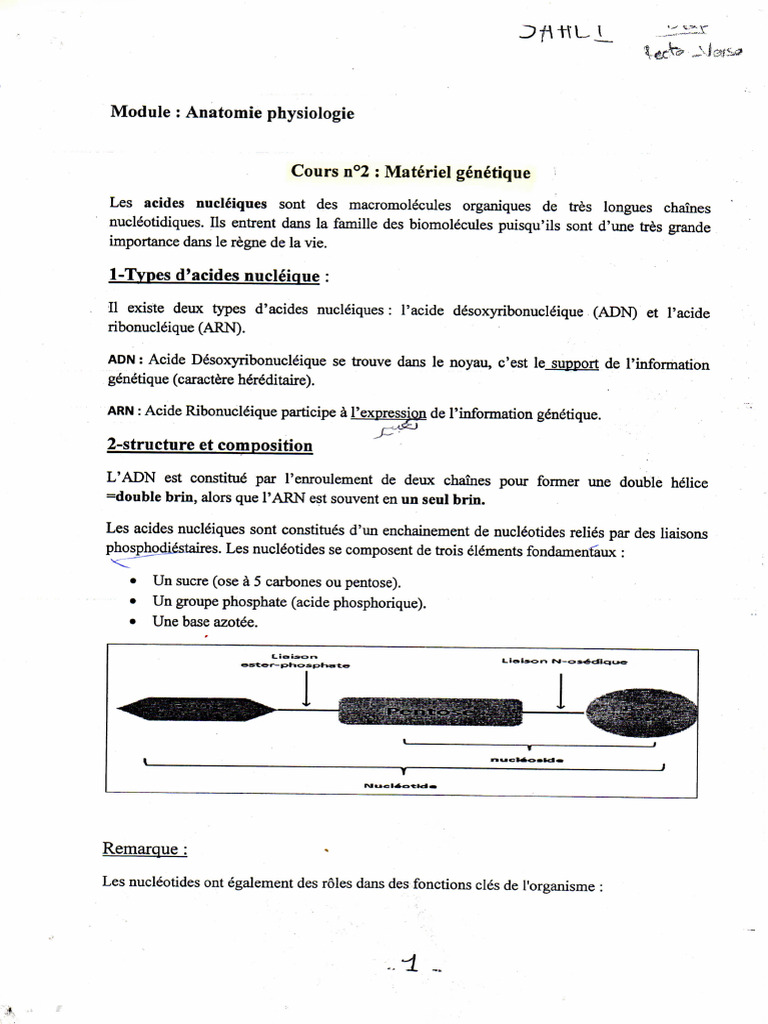 Cour 02 Anatomie Physiologie | PDF