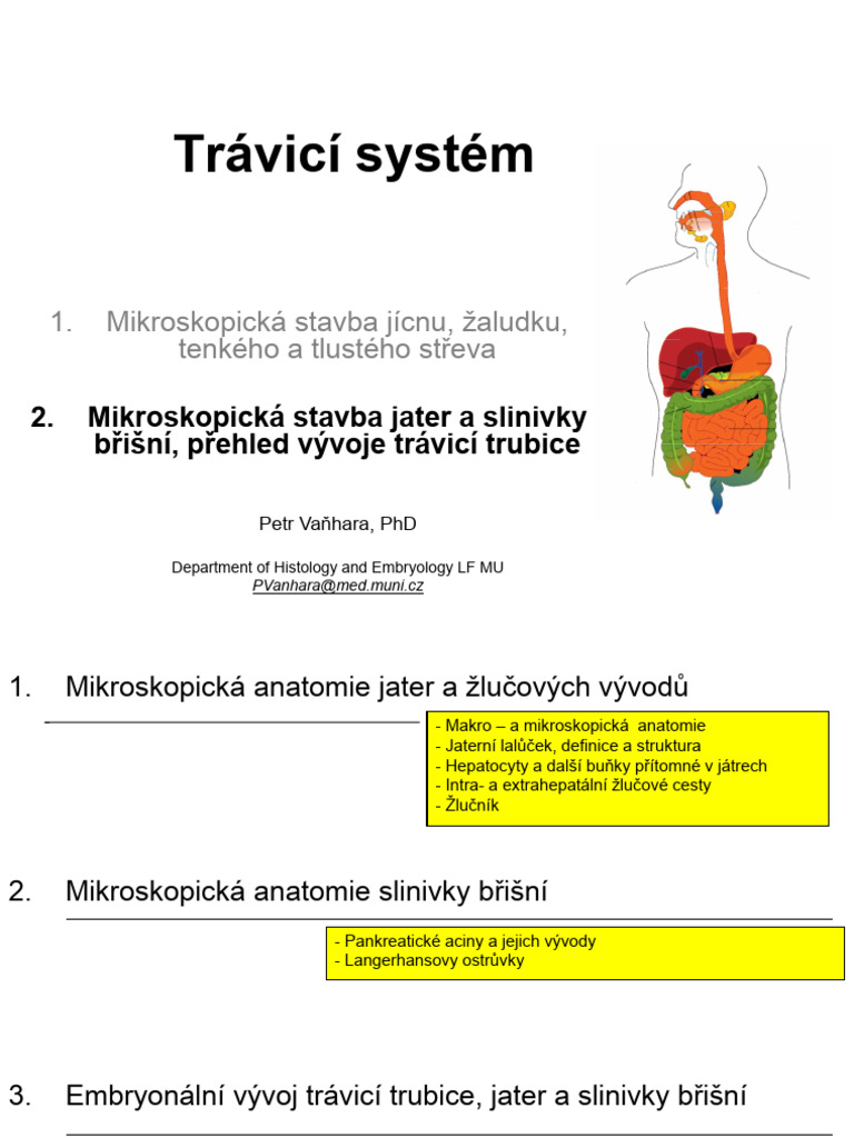Trávicí Systém | PDF