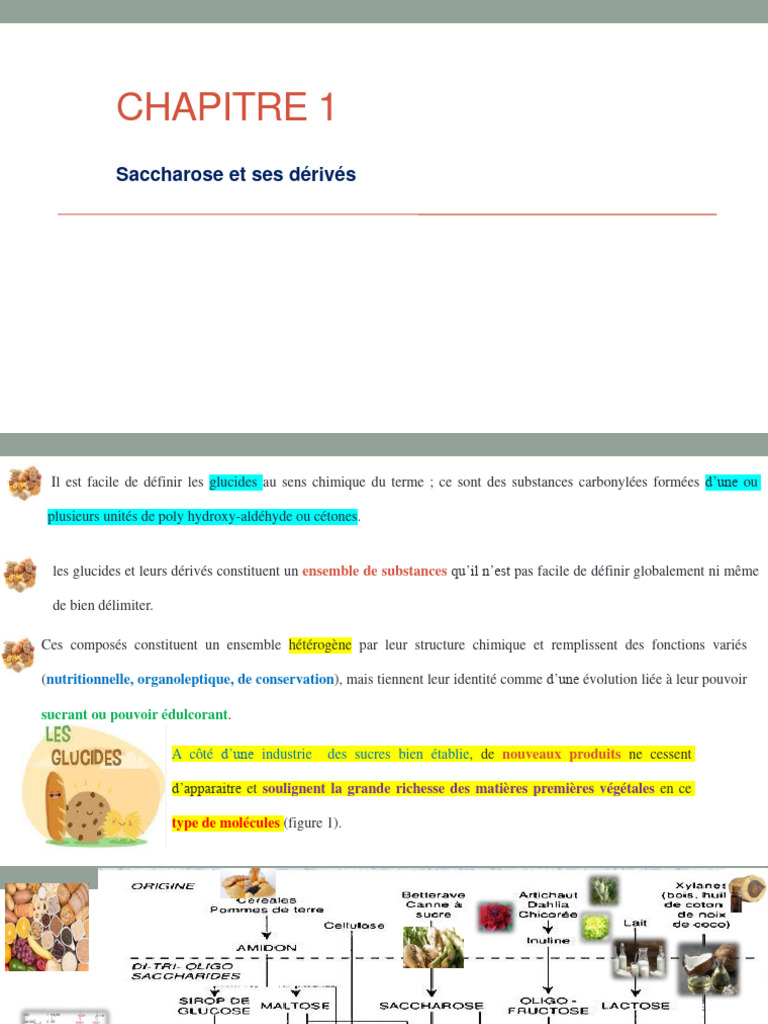 Chapitre 1 SACCHAROSE | PDF
