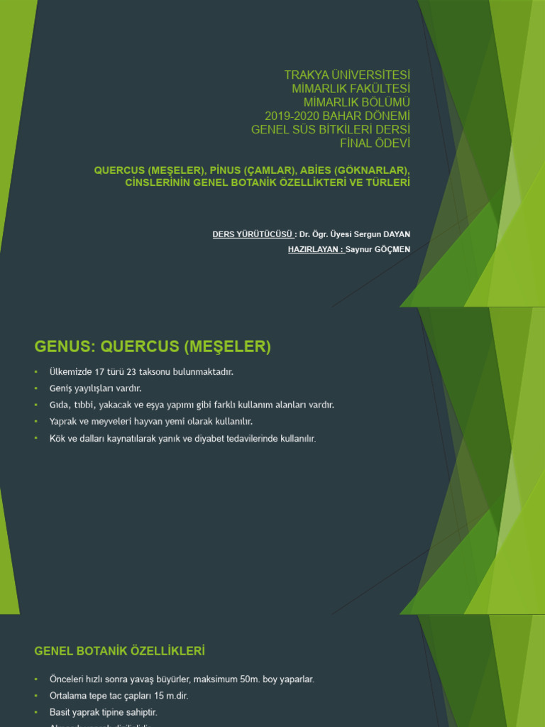 GENEL SÜS BİTKİLERİ SUNUM | PDF