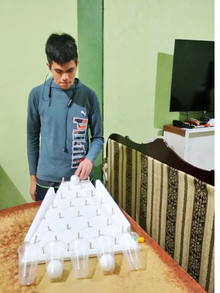 Plingo Evidencia (Fotos) | PDF